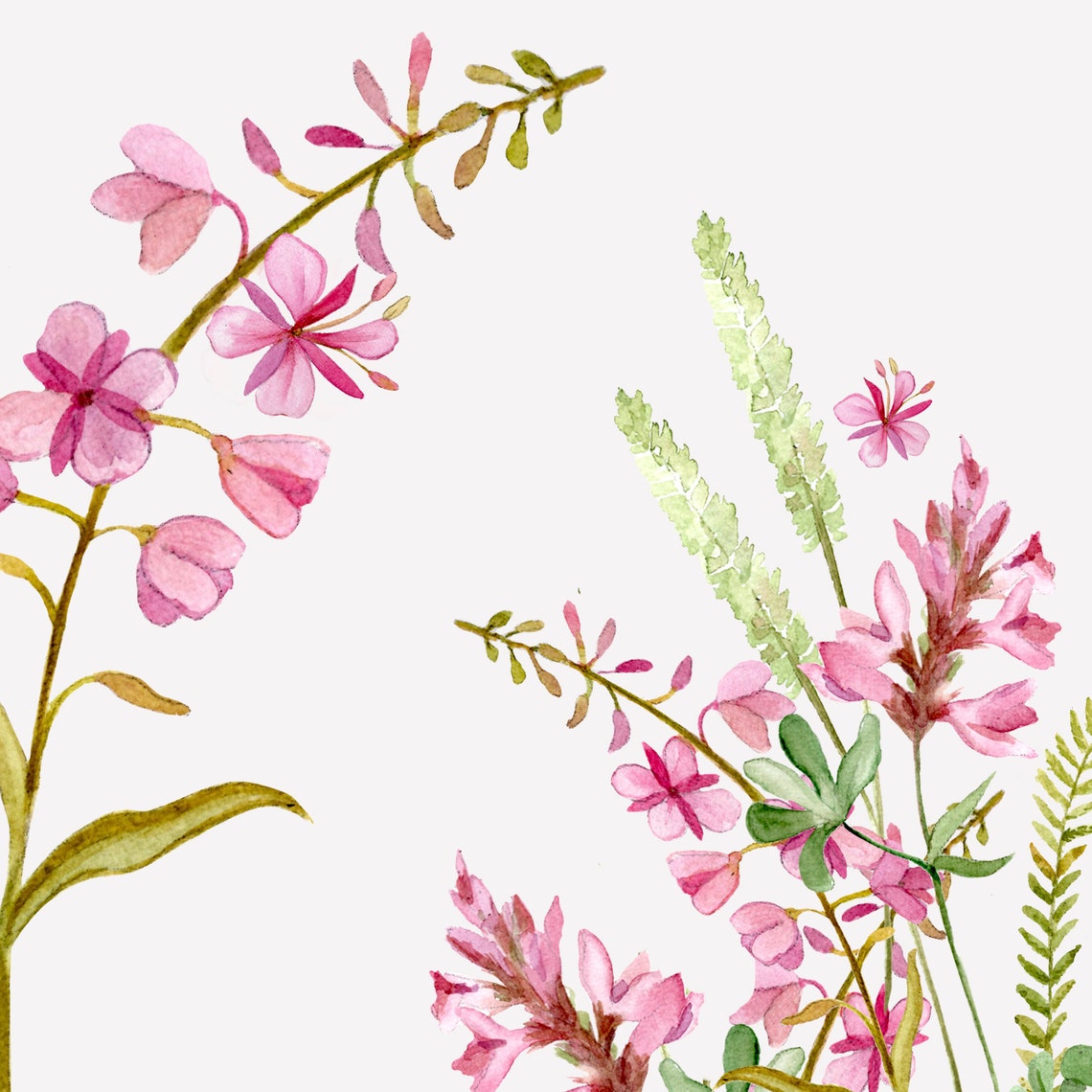 Wild Flowers Clipart . Dainty Flowers Watercolor. Rustic Clipart ...