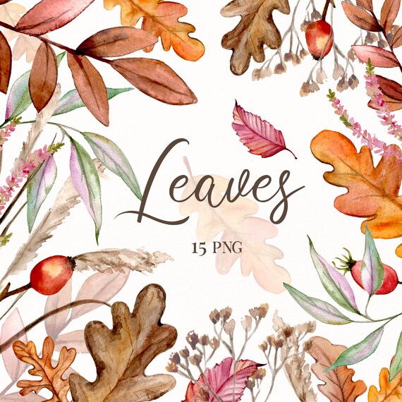 Watercolor Autumn Leaves PNG. Autumn Clipart. Individual PNG | Etsy