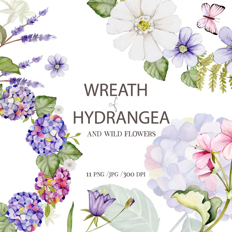 Hydrangea Clipart. Watercolor Wreaths With Hydrangeas. Wild - Etsy