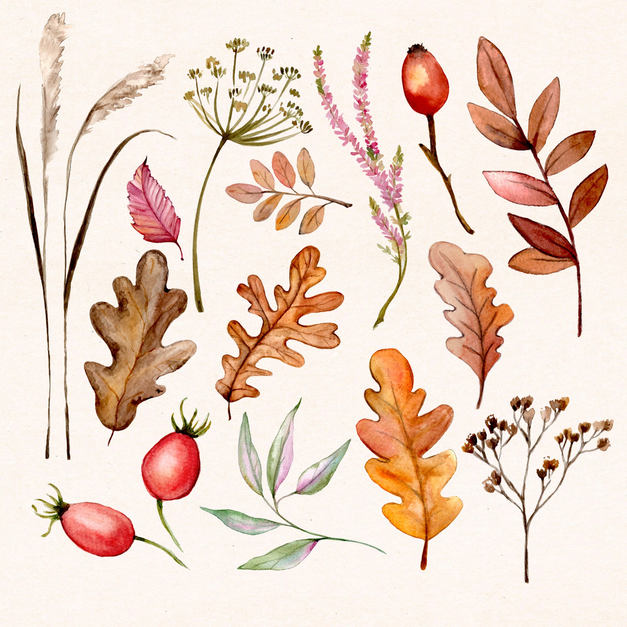 Watercolor Autumn Leaves PNG. Autumn Clipart. Individual PNG - Etsy