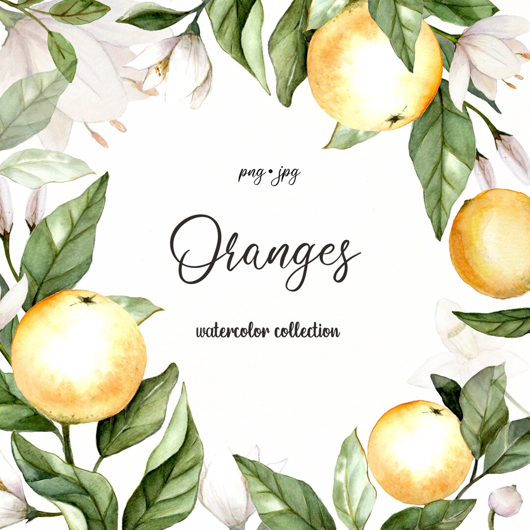 Oranges Watercolor Clipart, Summer Fruit, Oranges Kitchen Decor, Citrus ...