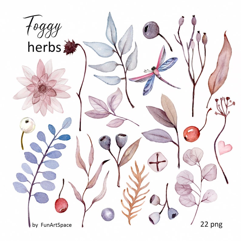 Watercolor Wild Herbs Clipart. Floral Clipart Digital Download - Etsy