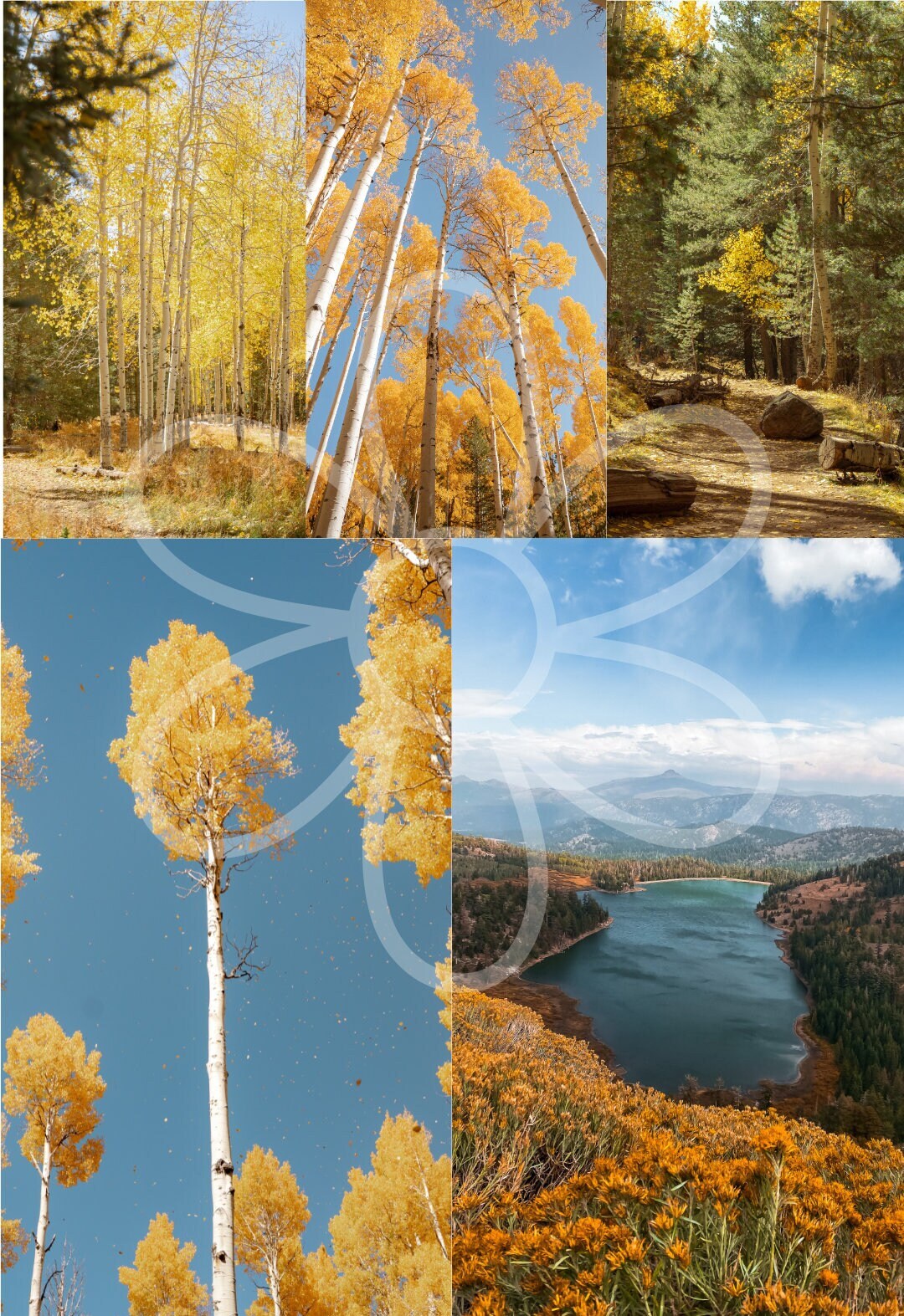 Fall Landscape Photo Wallpapers - Etsy