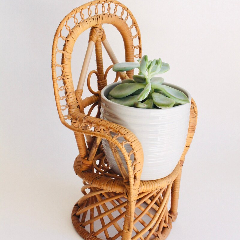 Peacock Chair - Etsy Canada