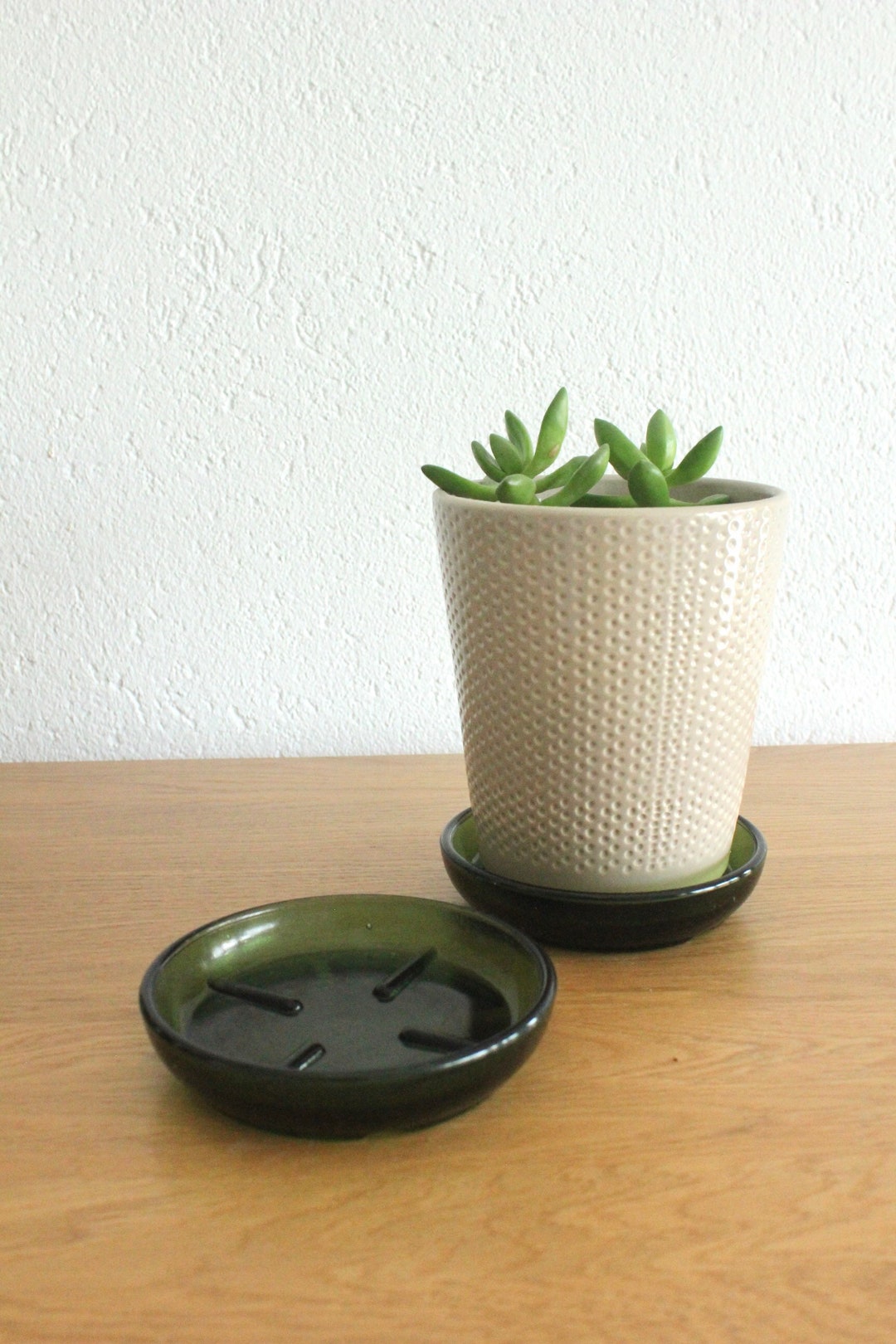 Vintage Swiss Bülach Glass Pot Plant Saucer Swiss Glass Plant - Etsy