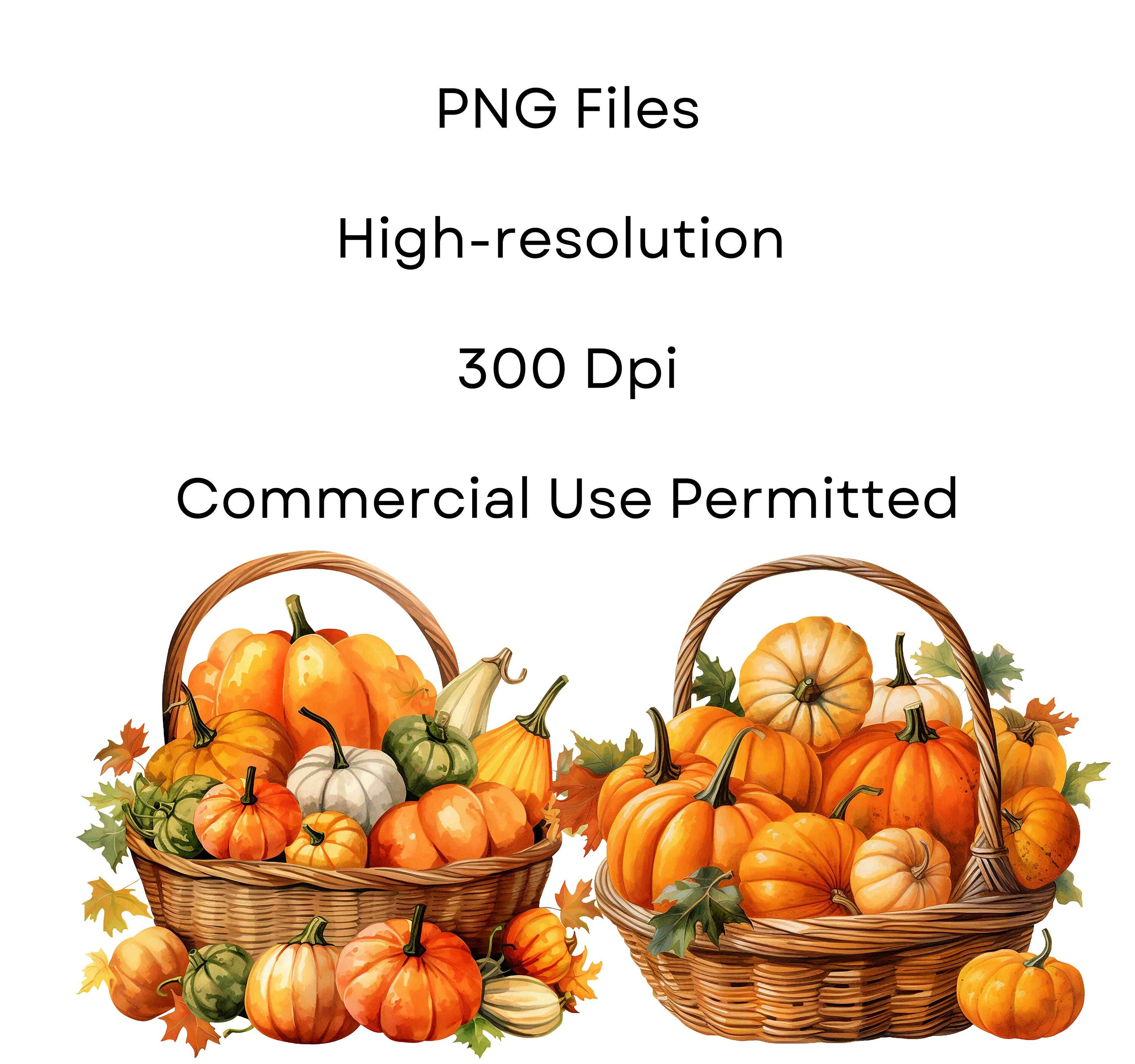 Watercolor Fall Pumpkin Basket Clipart Fall PNG for - Etsy