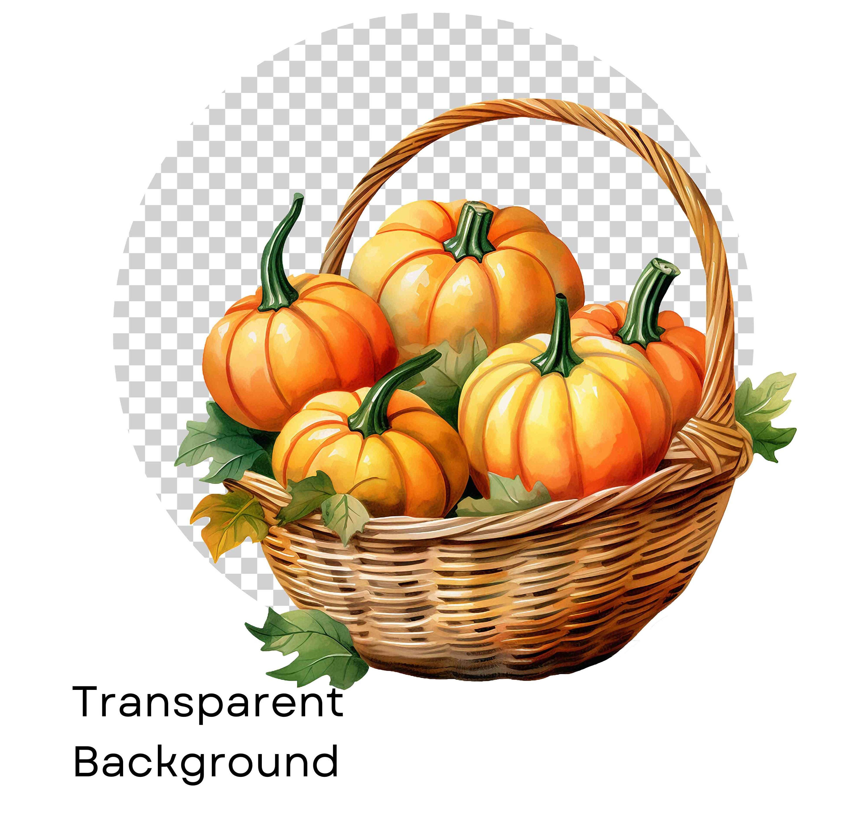 Watercolor Fall Pumpkin Basket Clipart Fall PNG for - Etsy