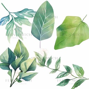 28 Watercolor Leaves Clipart, Botanical Greenery PNG for Commercial Use ...