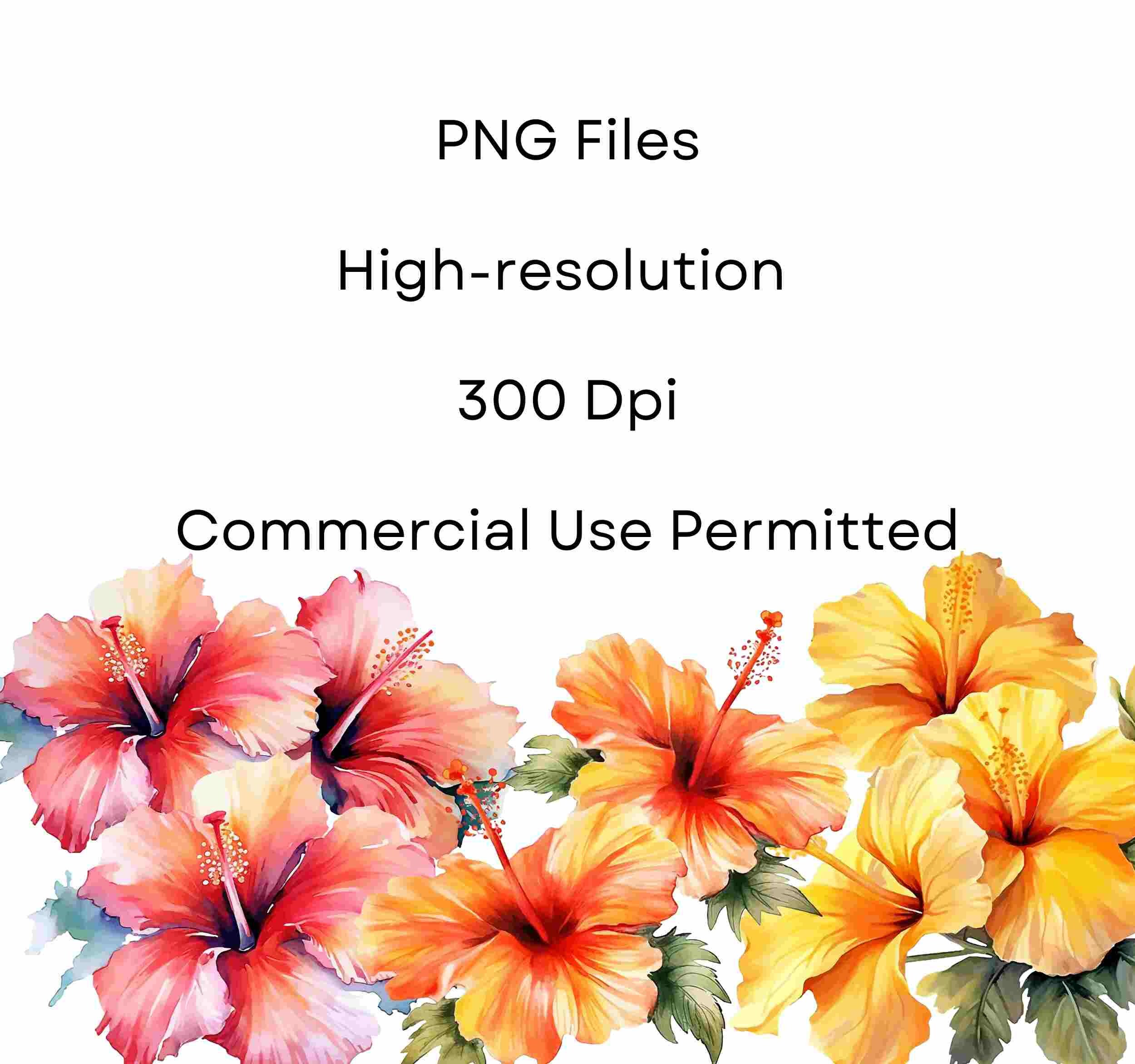 Watercolor Hibiscus Flower Clipart, Tropical Floral PNG for Commercial ...