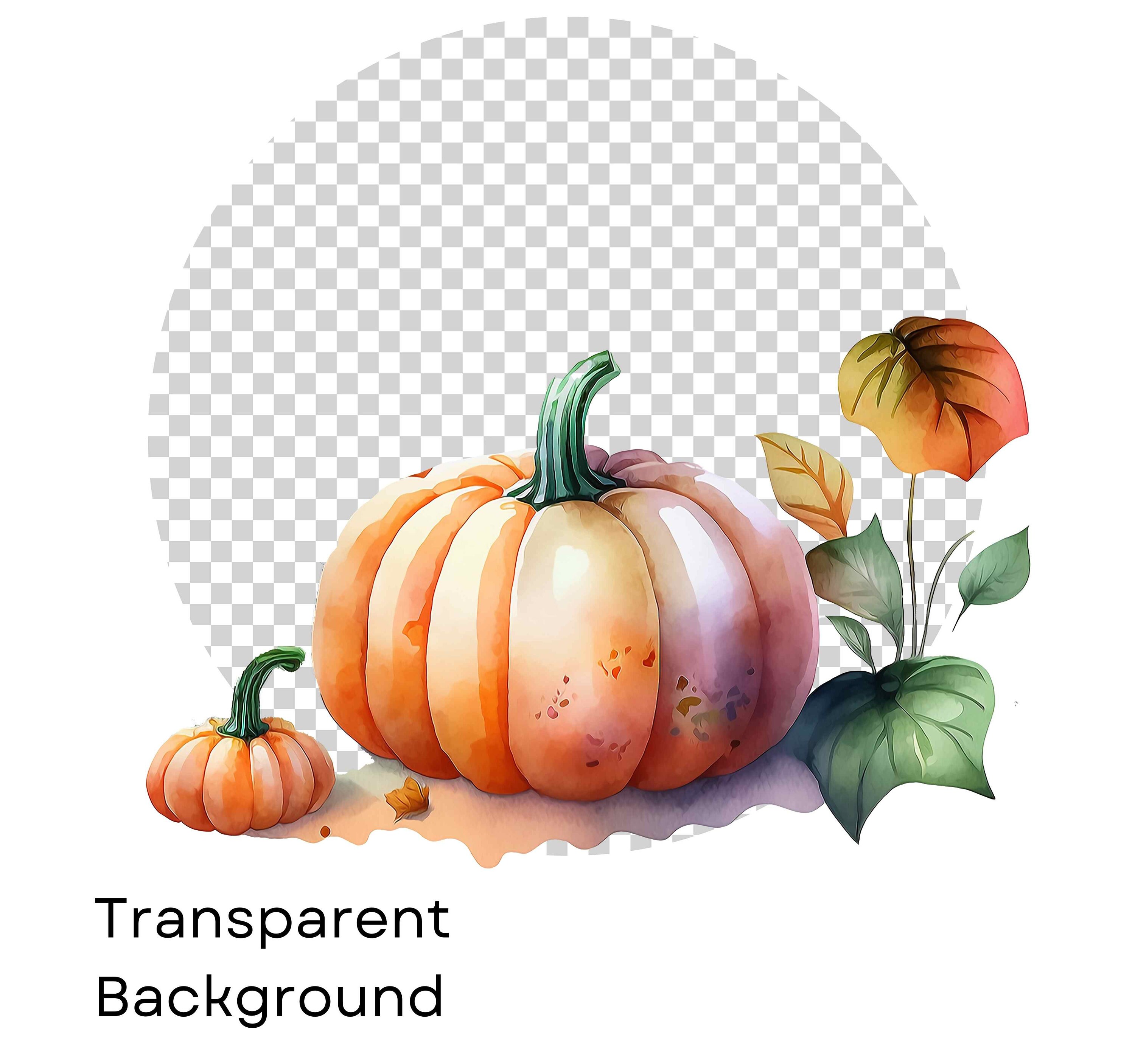 Watercolor Fall Pumpkin Clipart Fall PNG for Commercial Use - Etsy
