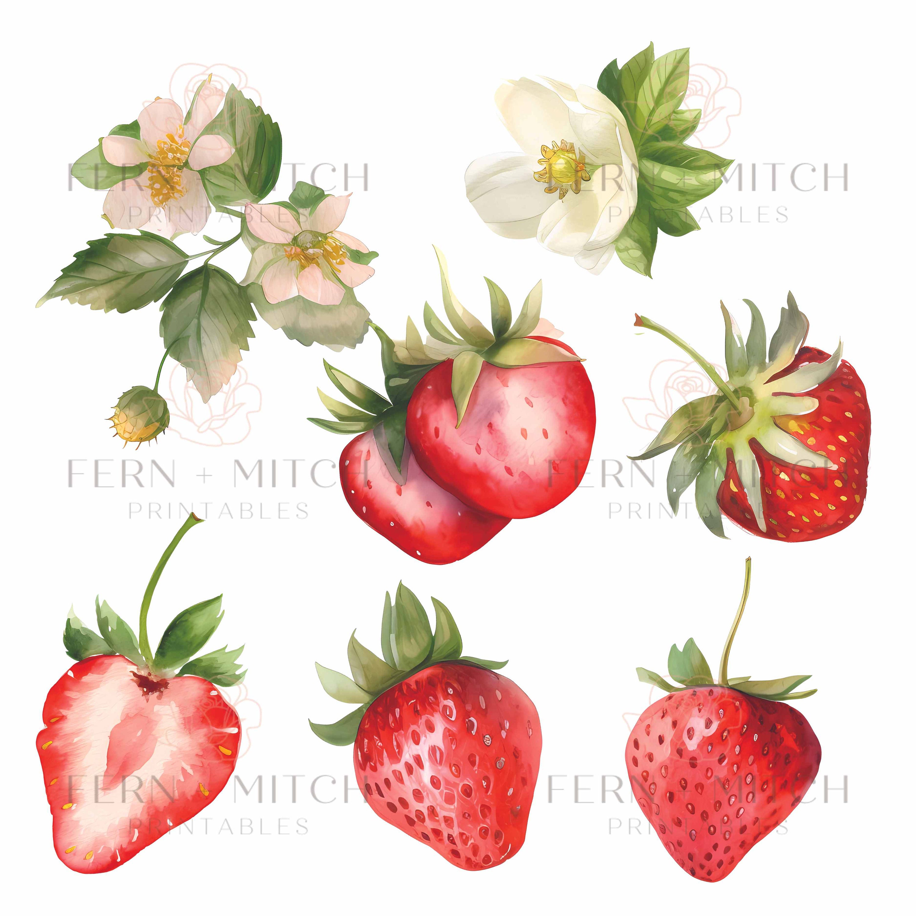 15 Watercolor Strawberry Clipart, Botanical PNG for Commercial Use ...