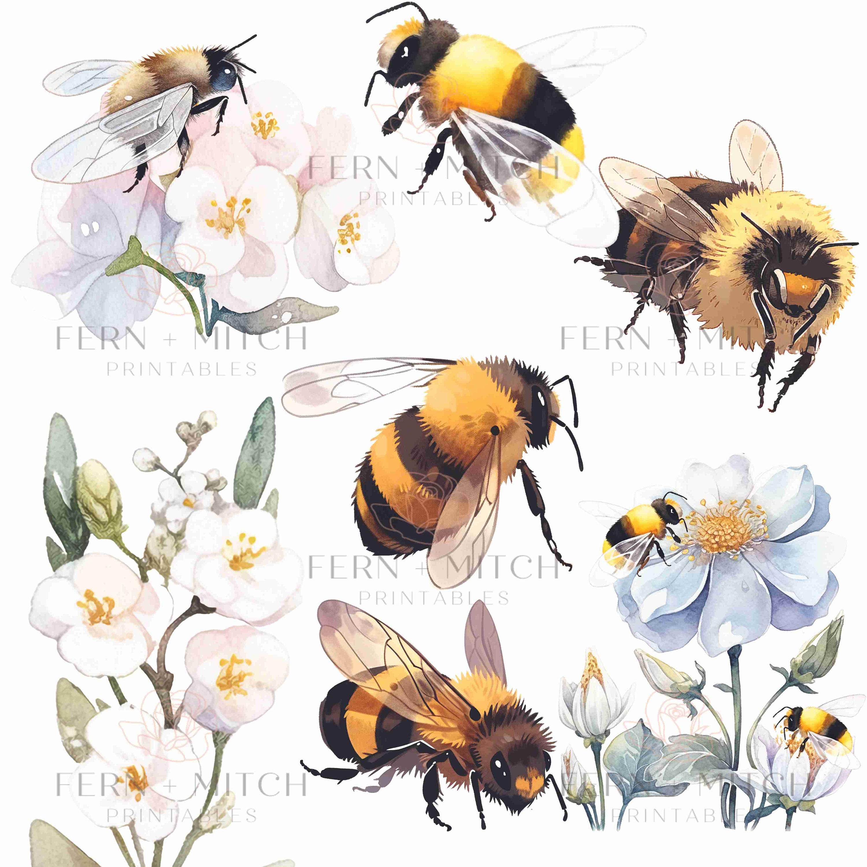 18 Watercolor Bee Clipart, Bumblebees Florals PNG for Commercial Use ...