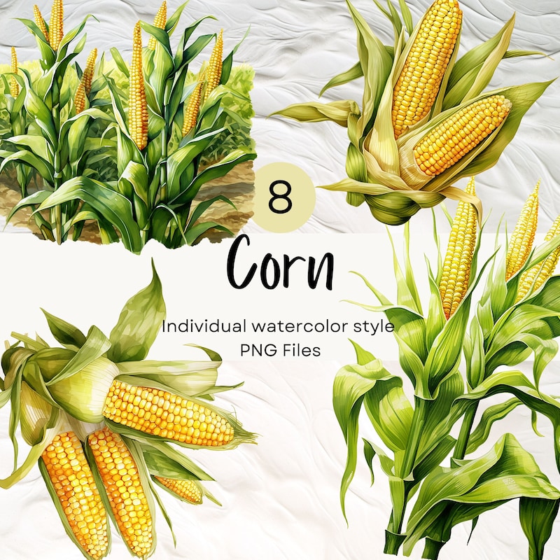 Corn Flower Journal - Etsy