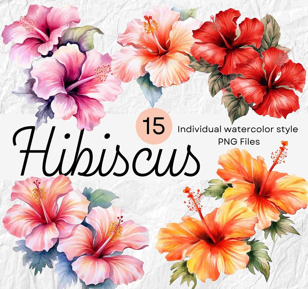 Watercolor Hibiscus Flower Clipart, Tropical Floral PNG for Commercial ...