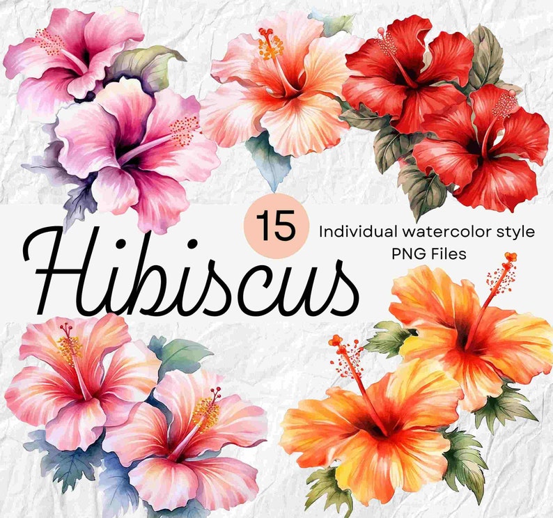 Watercolor Hibiscus Flower Clipart, Tropical Floral PNG for Commercial ...