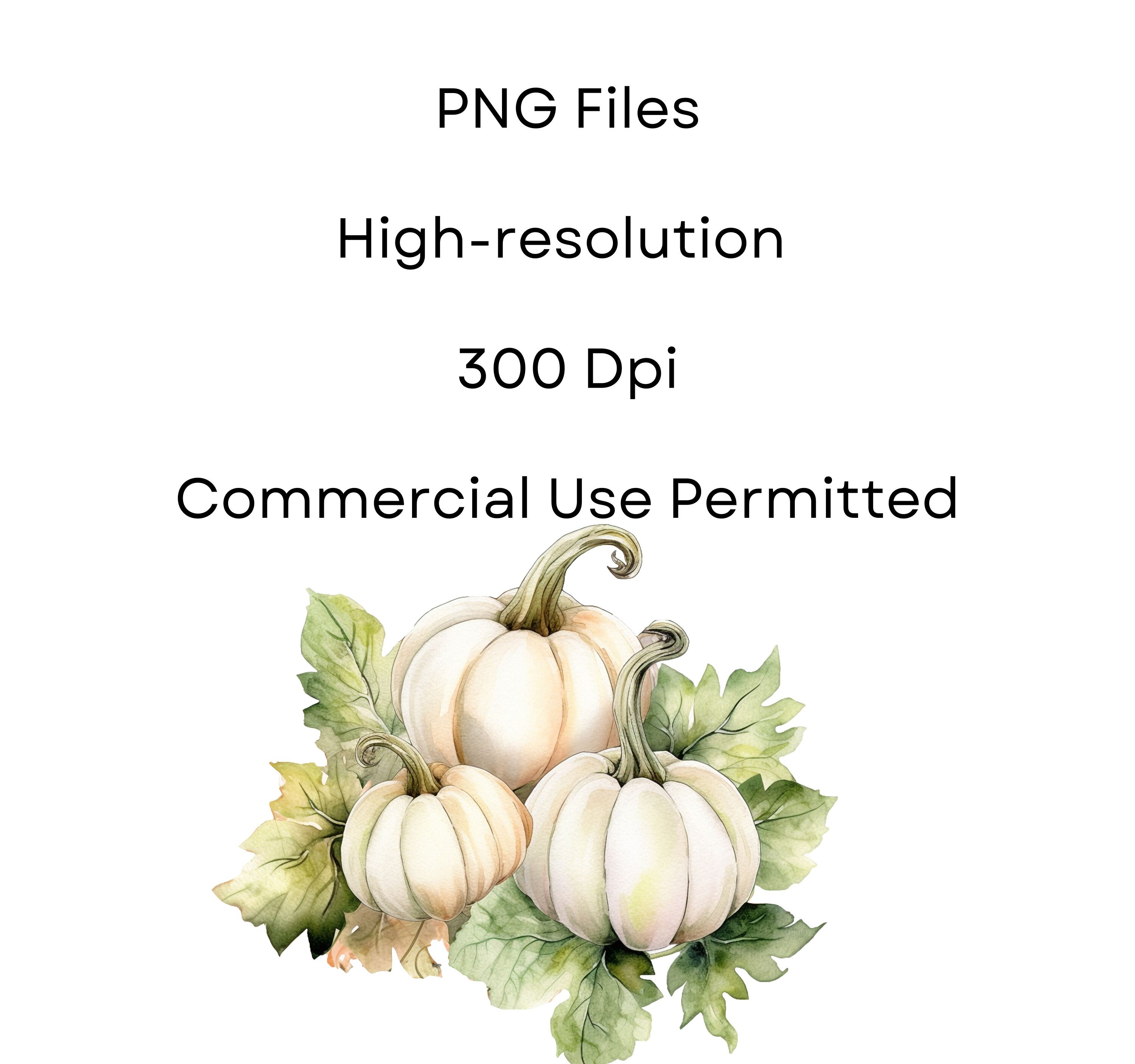 Watercolor Thanksgiving Clipart, Autumn Harvest PNG for Commercial Use ...