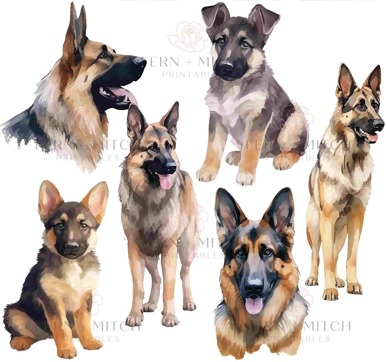 Watercolor German Shepherd Clipart Dog PNG for Commercial Use - Etsy
