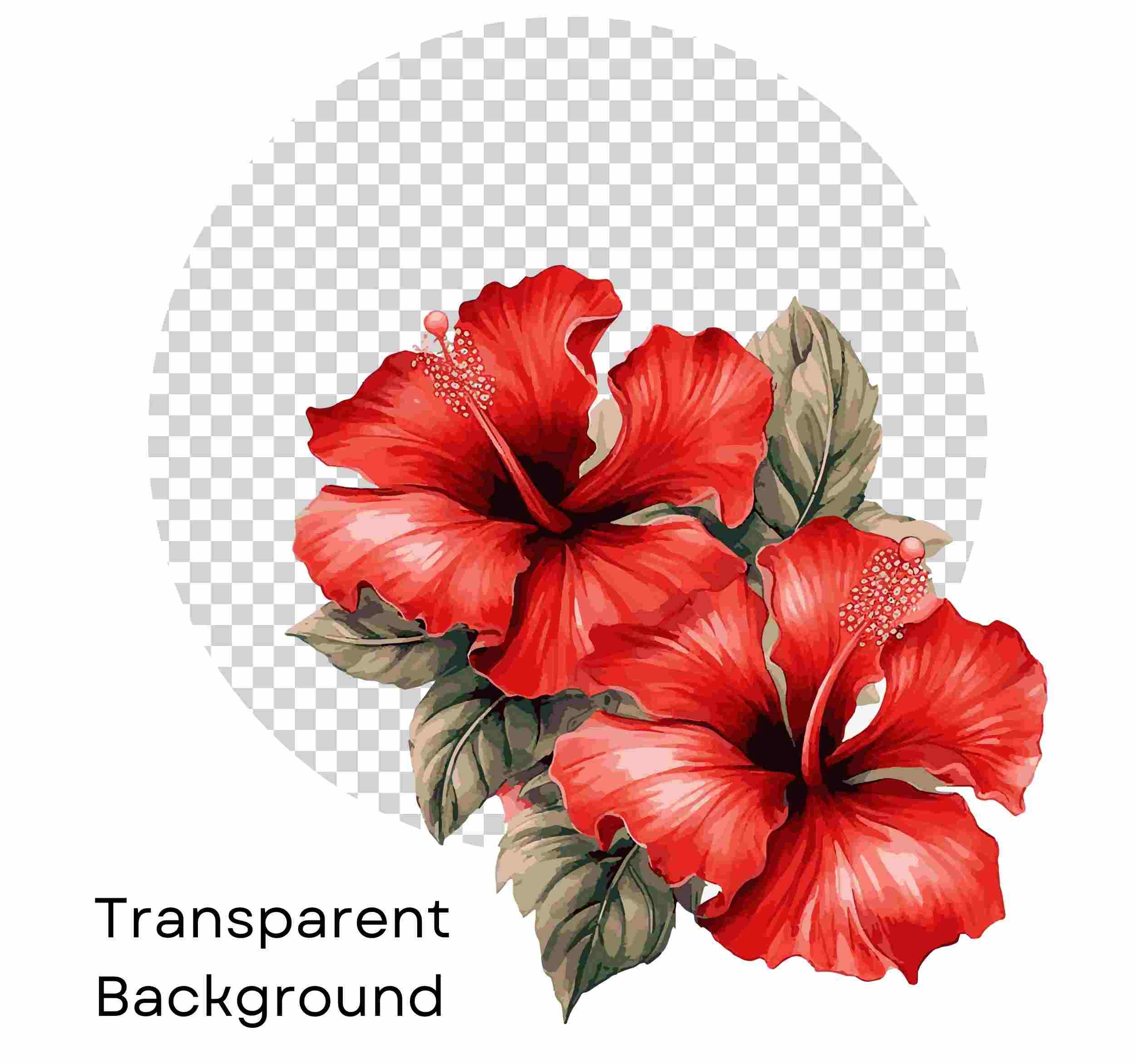 Watercolor Hibiscus Flower Clipart, Tropical Floral PNG for Commercial ...