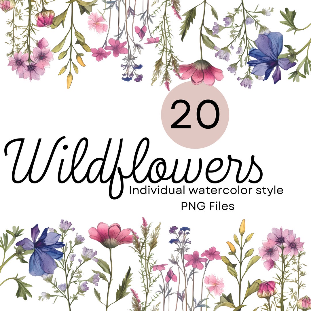 20 Watercolor Wildflower Clipart, Botanical Floral PNG for Commercial ...