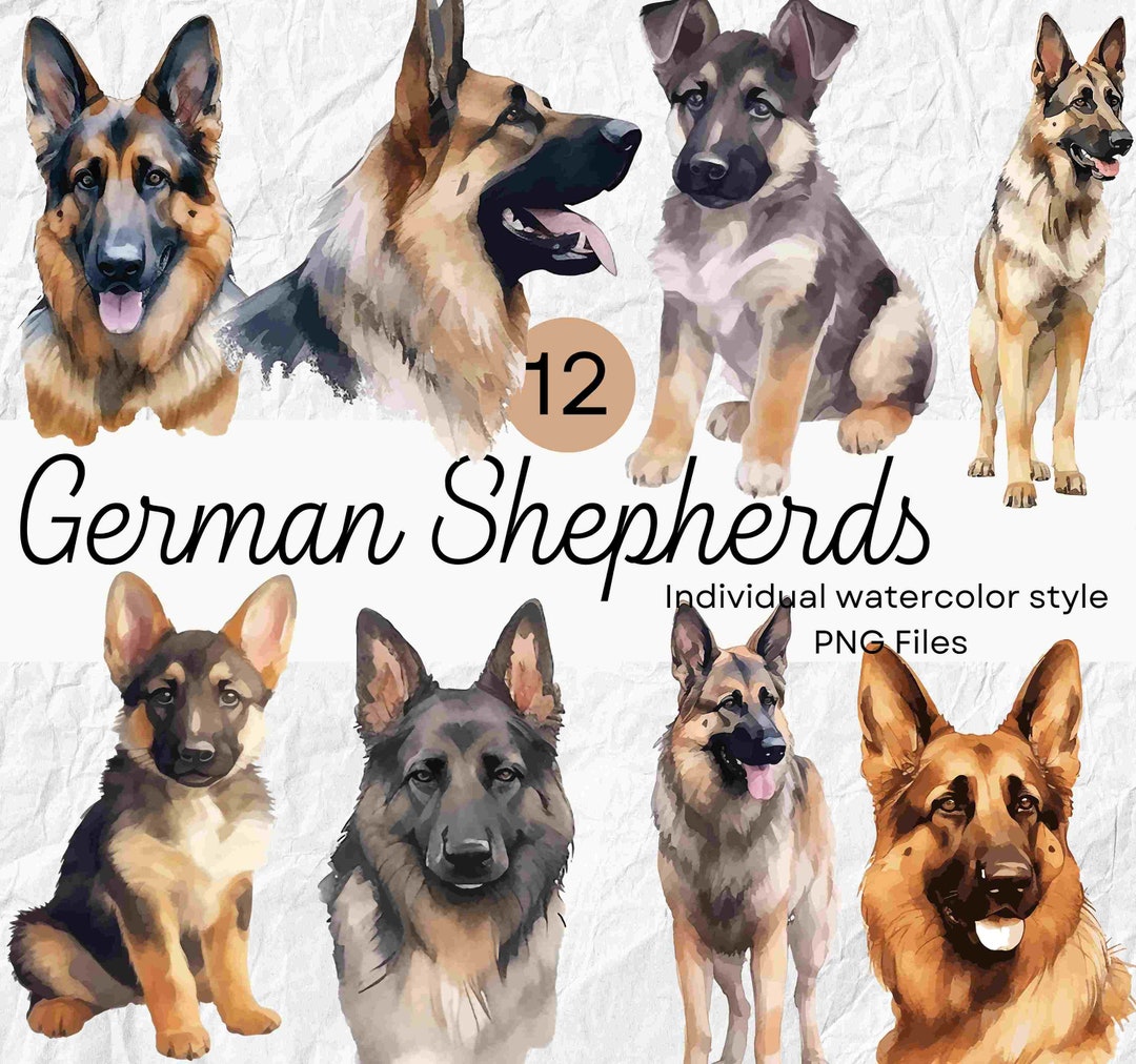 Watercolor German Shepherd Clipart, Dog PNG for Commercial Use POD ...