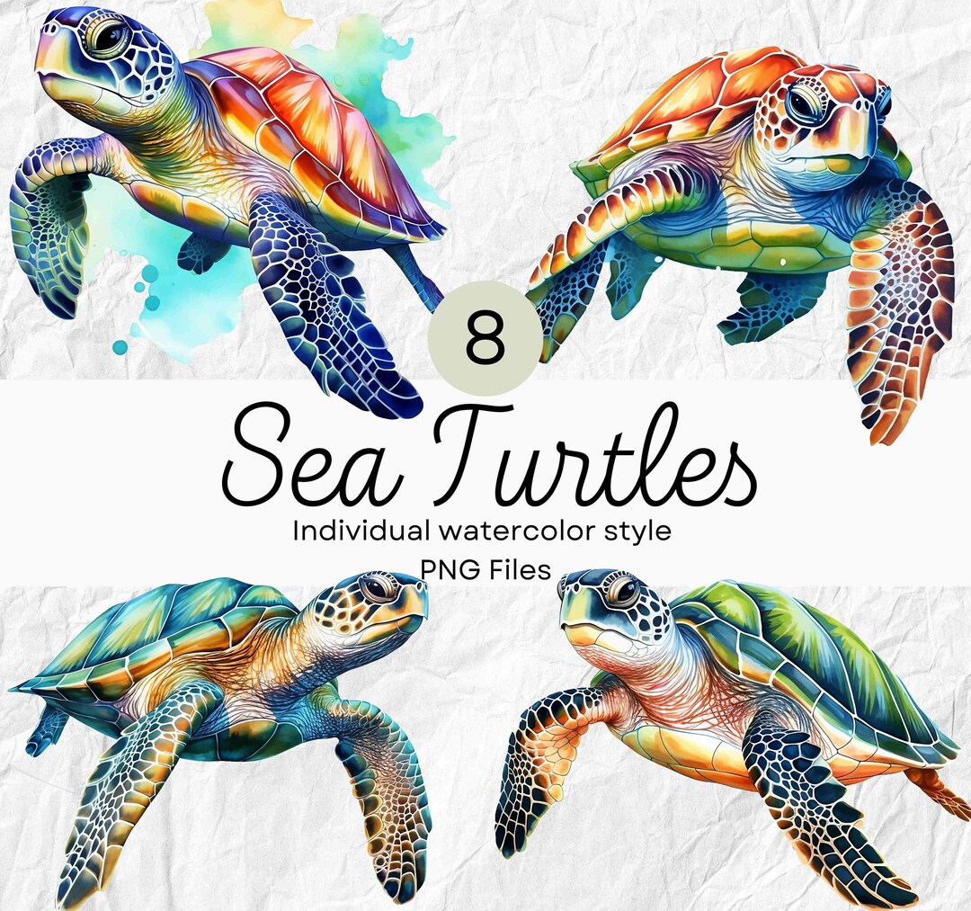 Watercolor Sea Turtle Clipart, Ocean PNG for Commercial Use POD, Sea ...