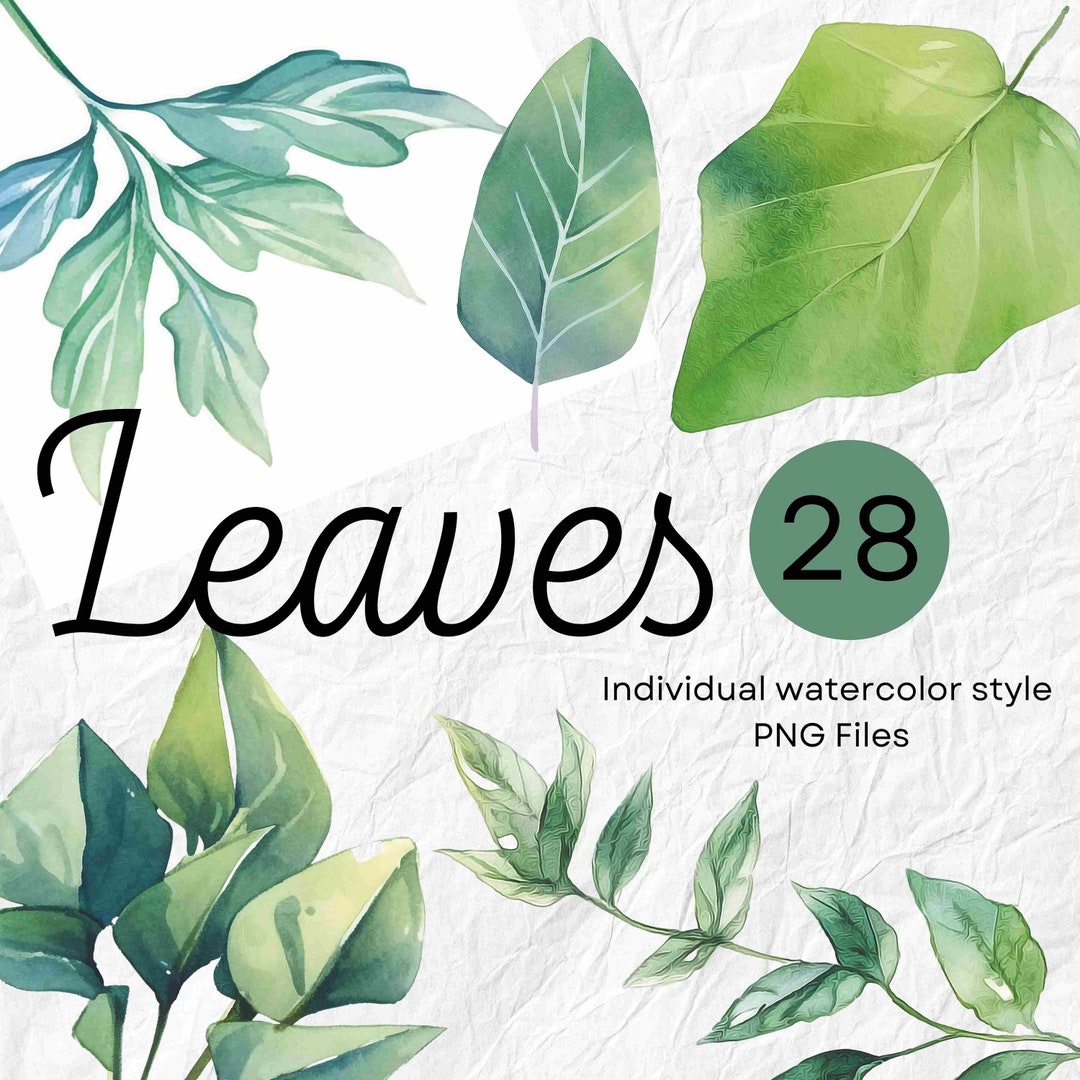28 Watercolor Leaves Clipart, Botanical Greenery PNG for Commercial Use ...