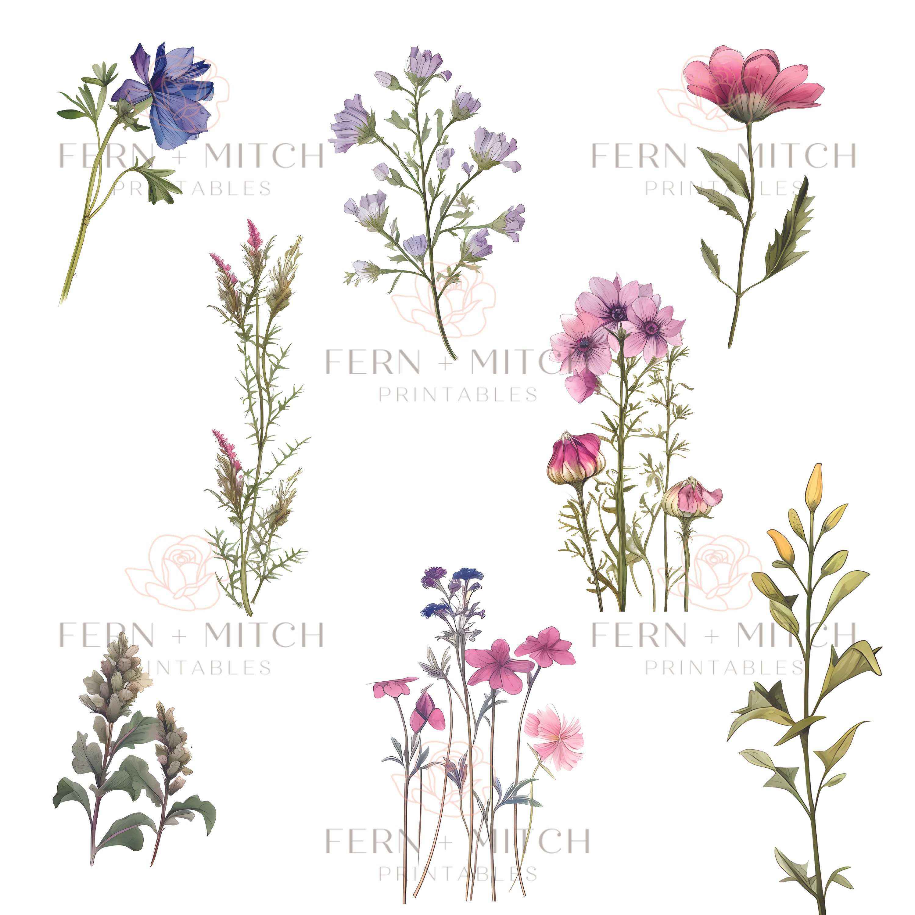 20 Watercolor Wildflower Clipart Botanical Floral PNG for - Etsy