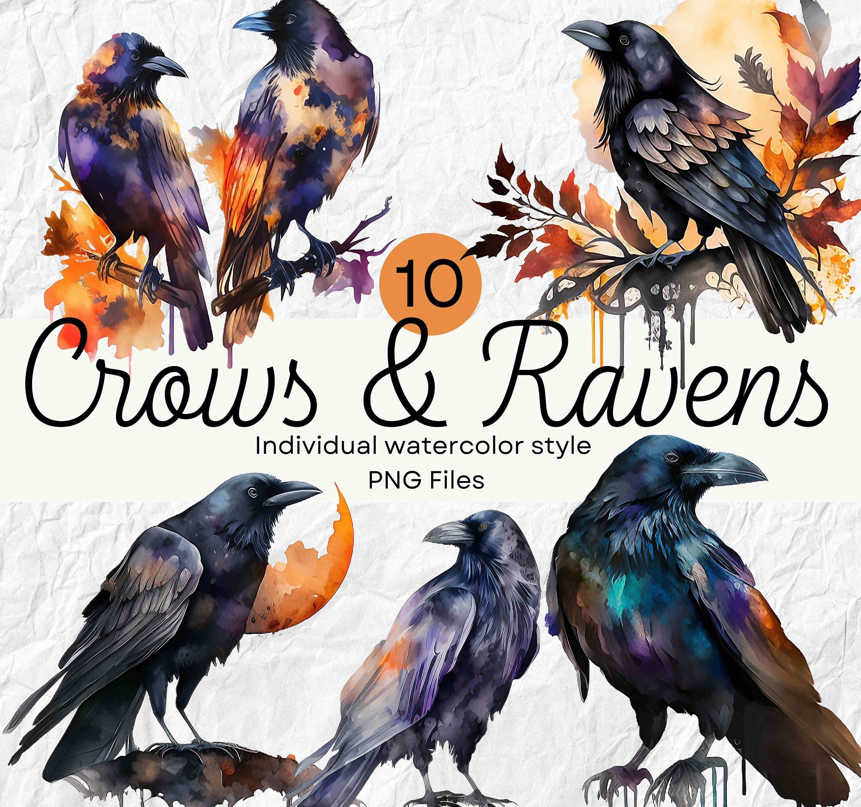 Watercolor Halloween Ravens and Crows Clipart, Fall PNG for Commercial ...