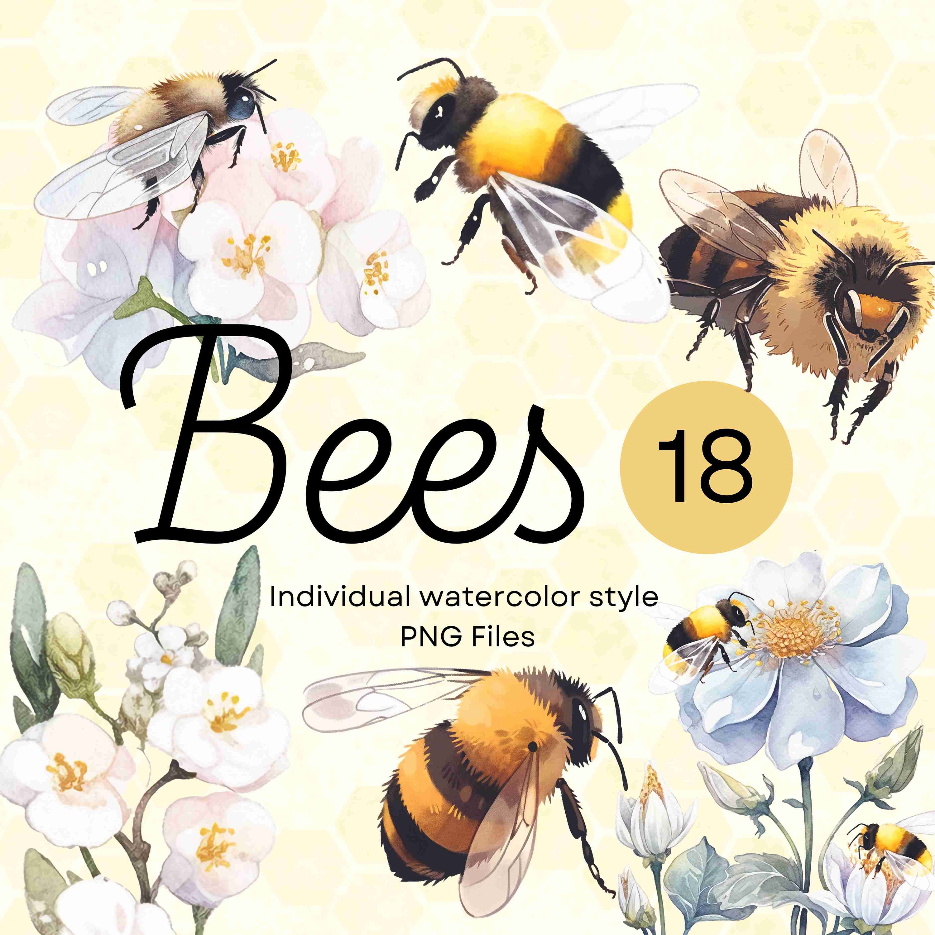 18 Watercolor Bee Clipart, Bumblebees Florals PNG for Commercial Use ...