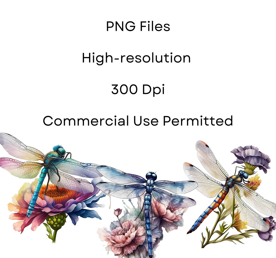 Watercolor Dragonflies on Flowers Clipart, PNG for Commercial Use POD ...