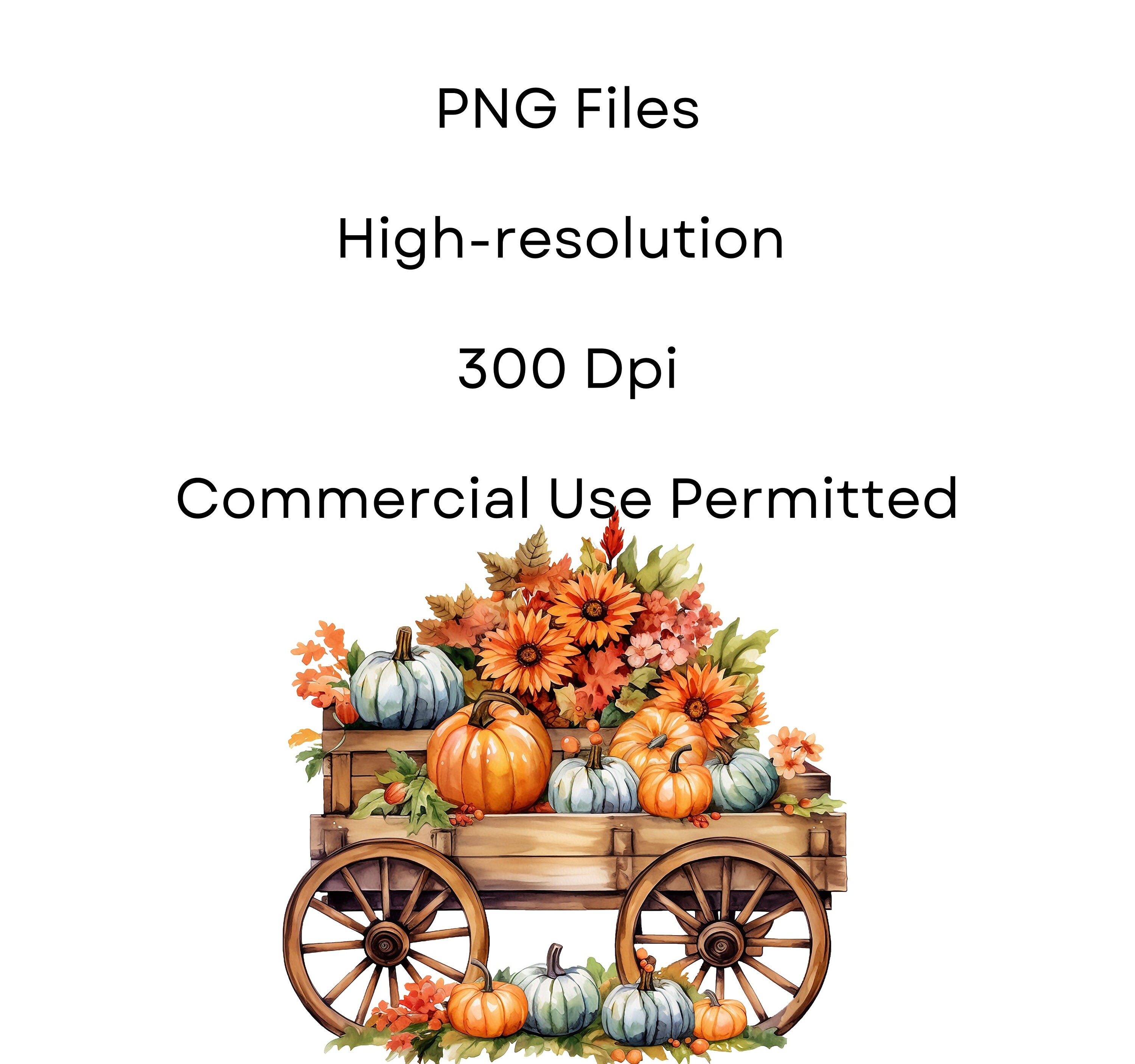 Watercolor Fall Clipart, Autumn Harvest PNG Bundle (digital Download ...