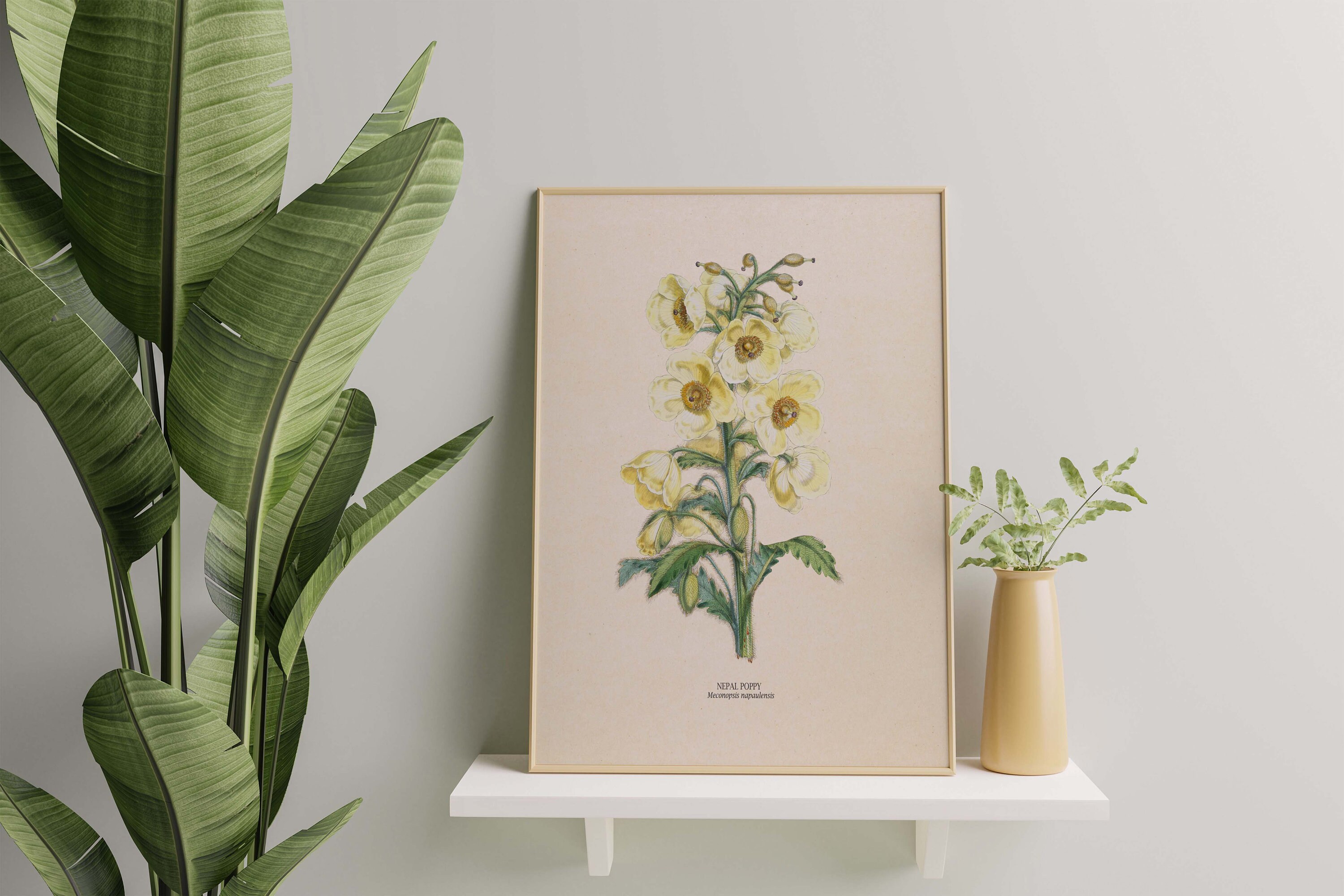 Vintage Botanical Prints Yellow Flowers Kitchen Bedroom Poster ...
