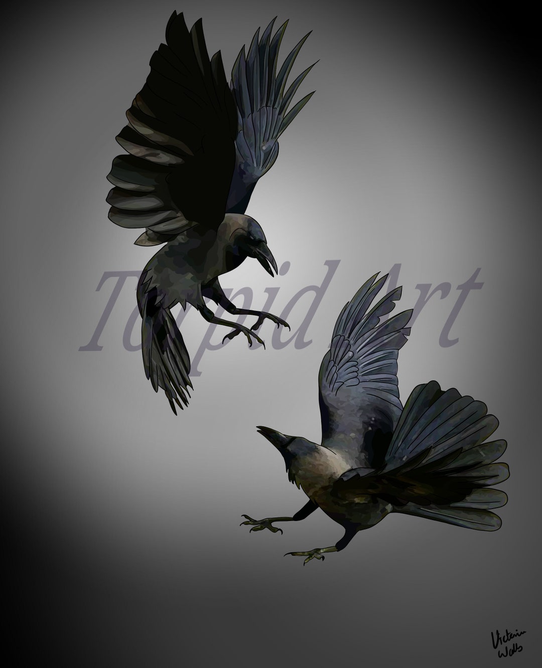 Ravens in Flight (print) - Etsy
