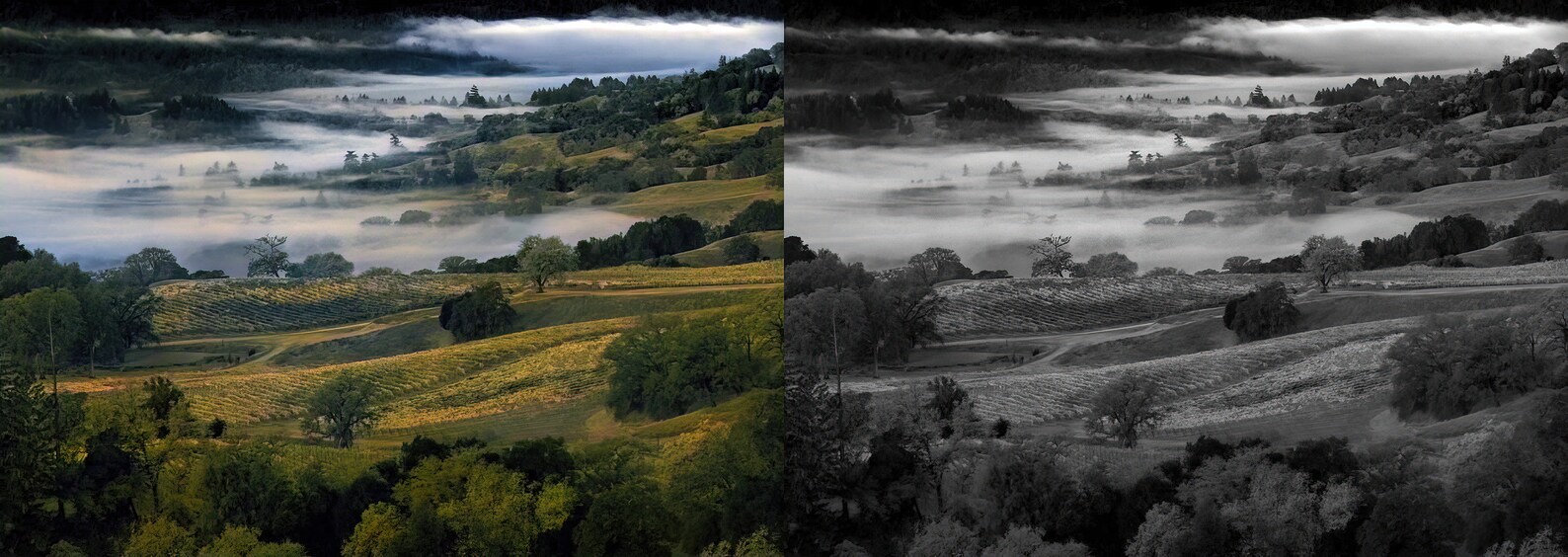 Photo Colorization Image Color Enhance Add Color Picture - Etsy