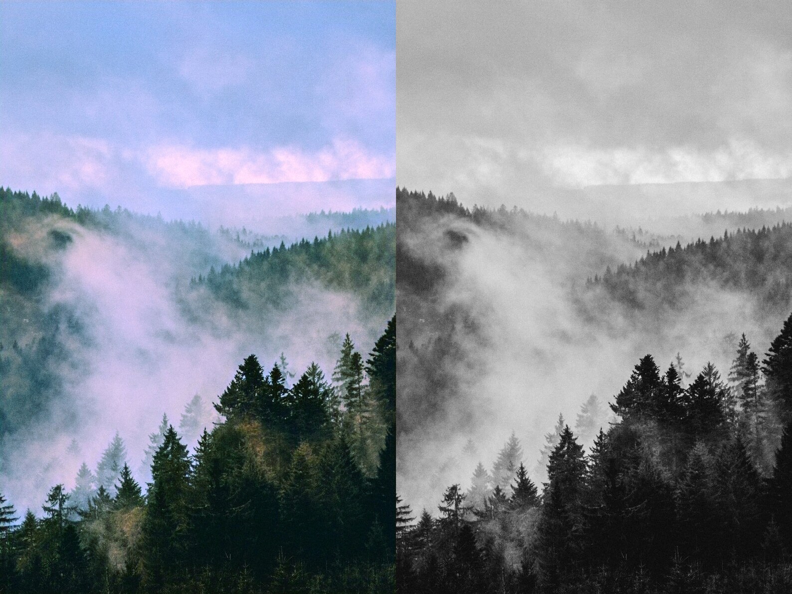 Photo Colorization Image Color Enhance Add Color Picture - Etsy