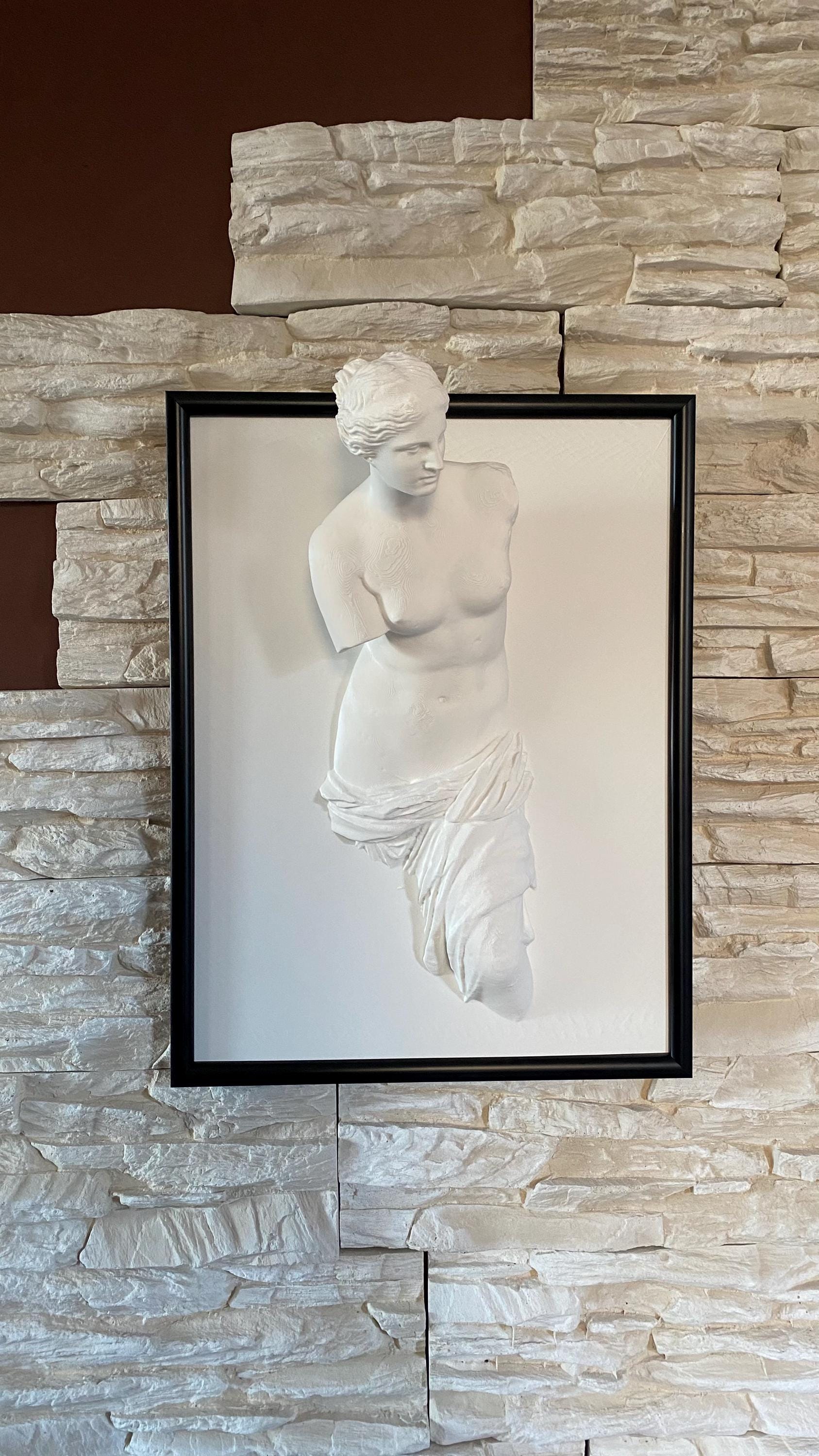 Framed Venus De Milo / 3D Printed - Etsy