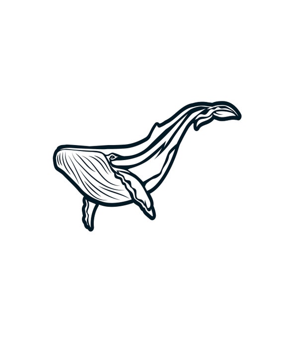 Wal SVG / SVG Schnittdatei / Auto Aufkleber SVG / Sofort - Etsy Schweiz