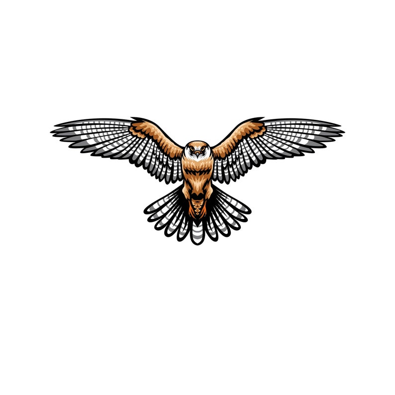 Falcon SVG / SVG Cut File / Car Decal SVG / Instant Download ...