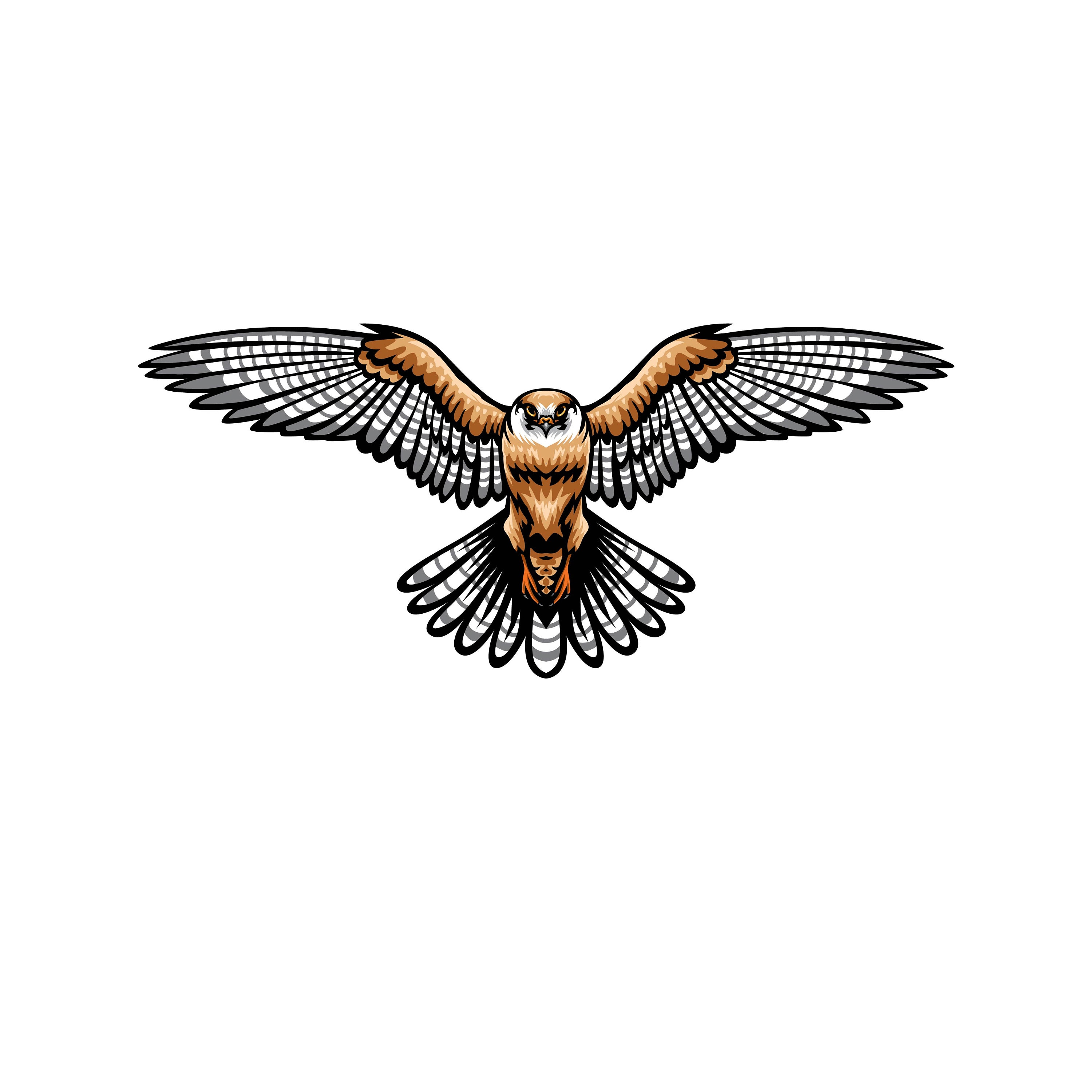 Falcon SVG / SVG Cut File / Car Decal SVG / Instant Download ...