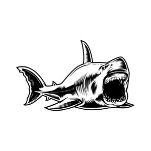 Shark 2 SVG / SVG Cut File / Car Decal SVG / Instant Download ...