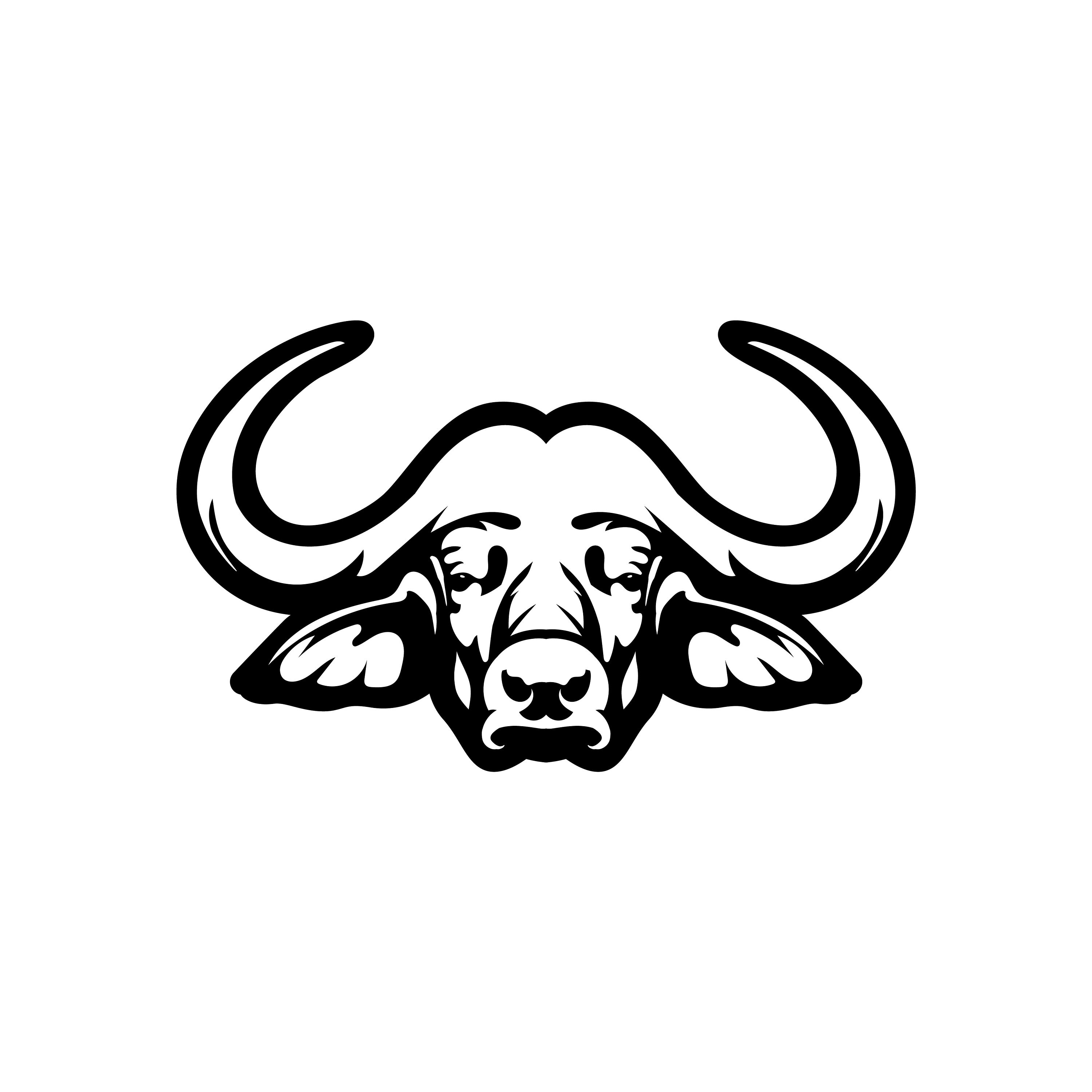 Buffalo / Photographer / Dslr SVG / SVG Cut File / Car Decal SVG ...
