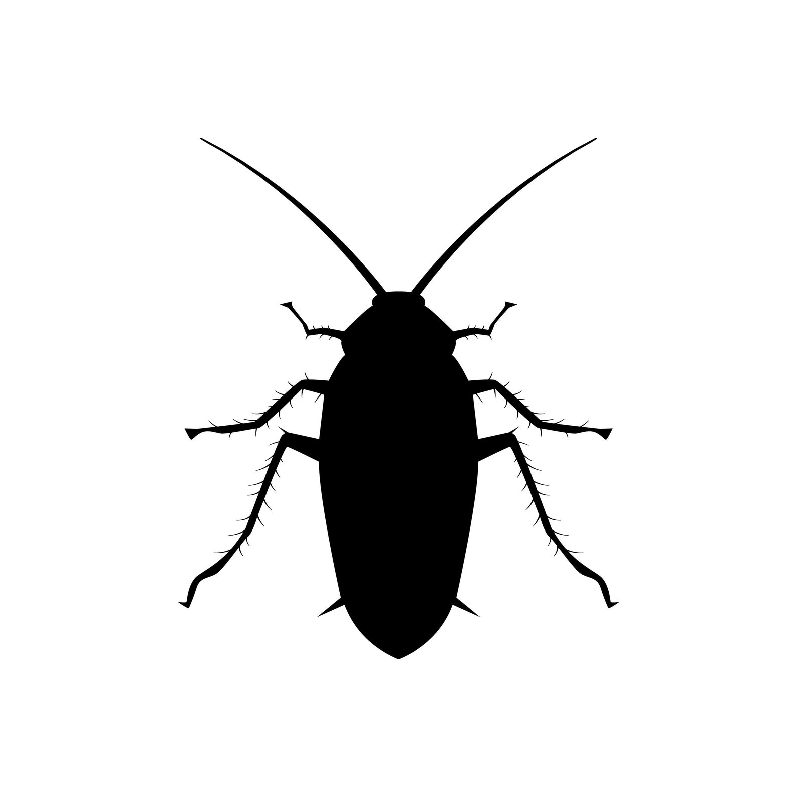 Cockroach/ Photographer / Dslr SVG / SVG Cut File / Car Decal SVG ...