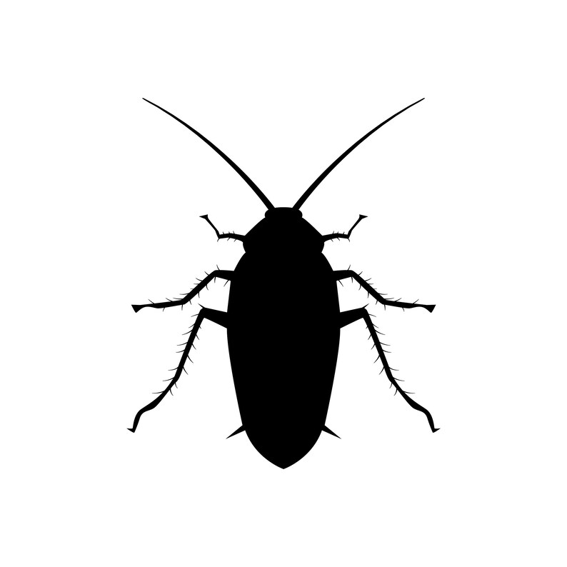 Cockroach/ Photographer / Dslr SVG / SVG Cut File / Car Decal SVG ...