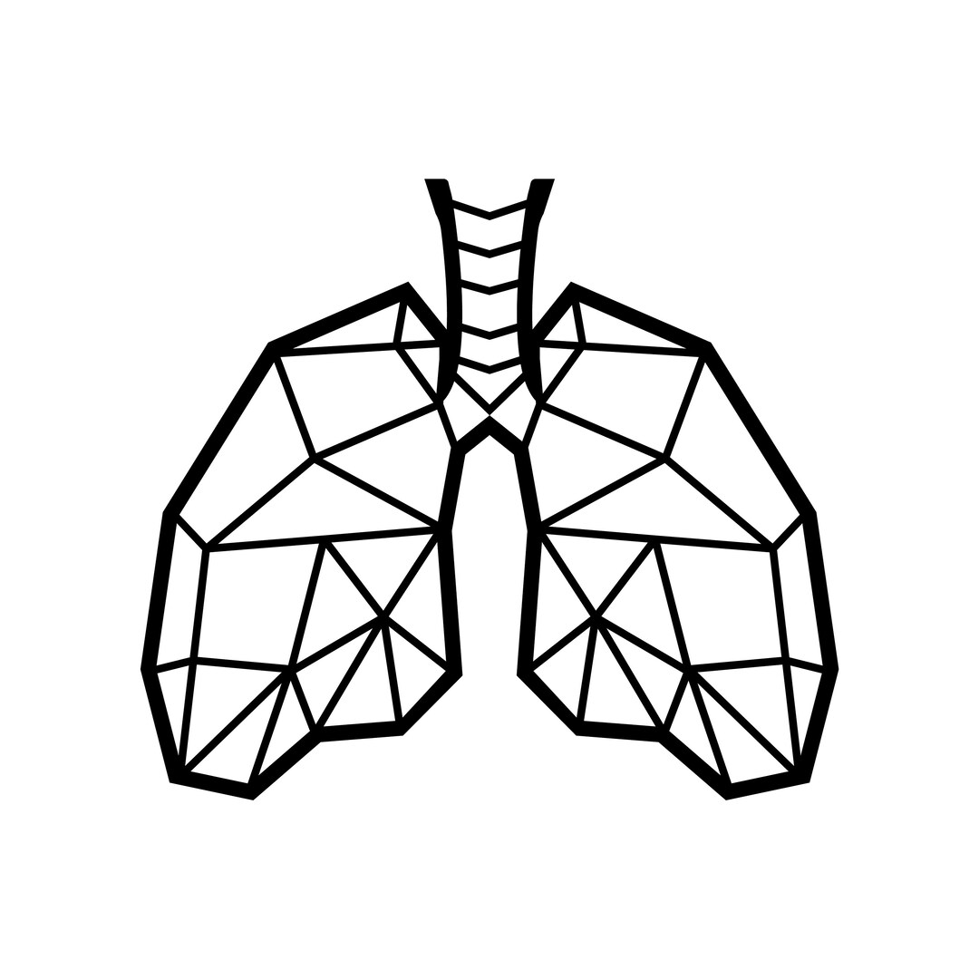 Lungs/ Photographer / Dslr SVG / SVG Cut File / Car Decal SVG / Instant ...