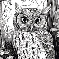 Ruddy Turnstone Coloring Book Page Printable Coloring Page Instant ...