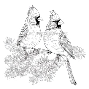 chickadee coloring page free