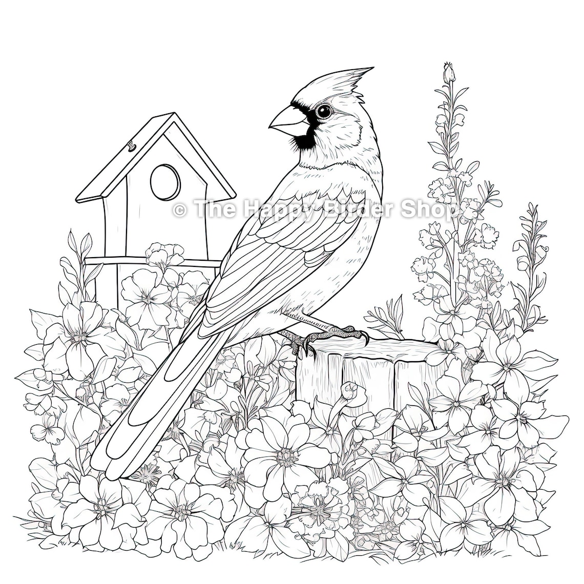 Cardinal Coloring Page | Printable JPG | Nature Lovers | Instant ...