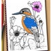 Kingfisher Coloring Page Printable Bird Art Bird Coloring Book Adult ...