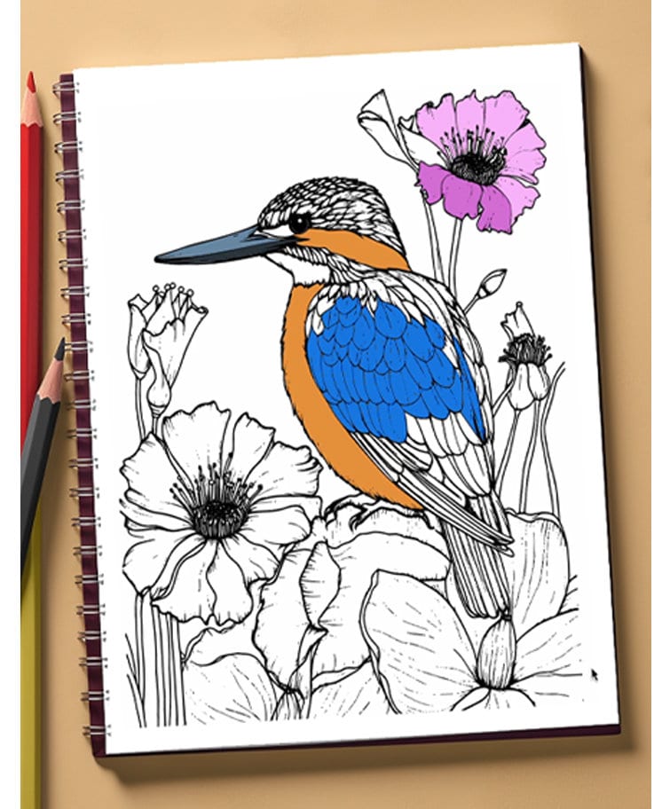 Kingfisher Coloring Page Printable Bird Art Bird Coloring Book Adult ...