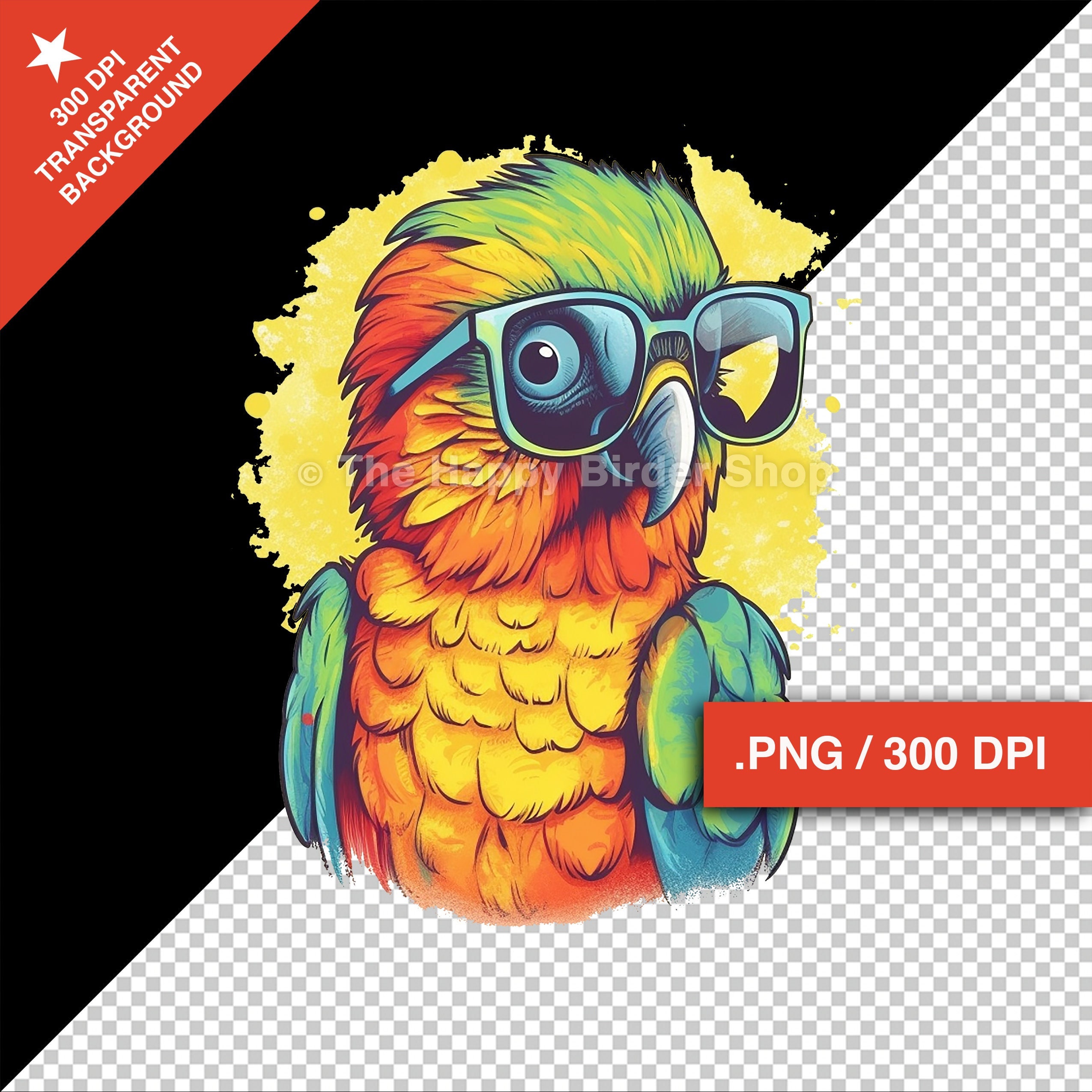 Conure Clipart | Parrot Graphics | Transparent PNG | Digital Download ...